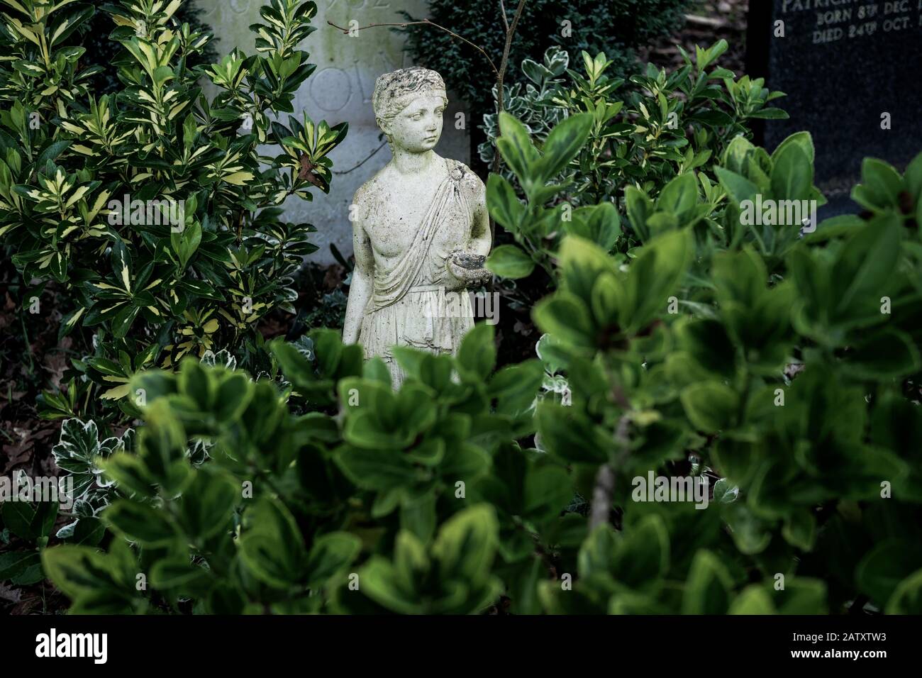 Putney Vale Cemetery Stock Photo - Alamy