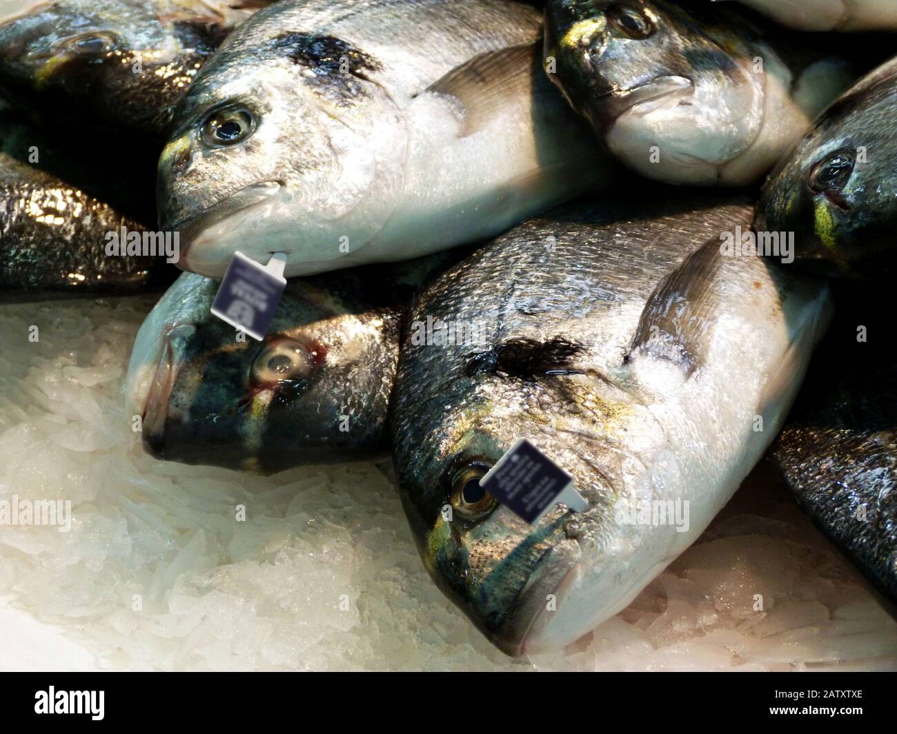 fresh sea fish on display at fish market. white ice. healthy eating ...