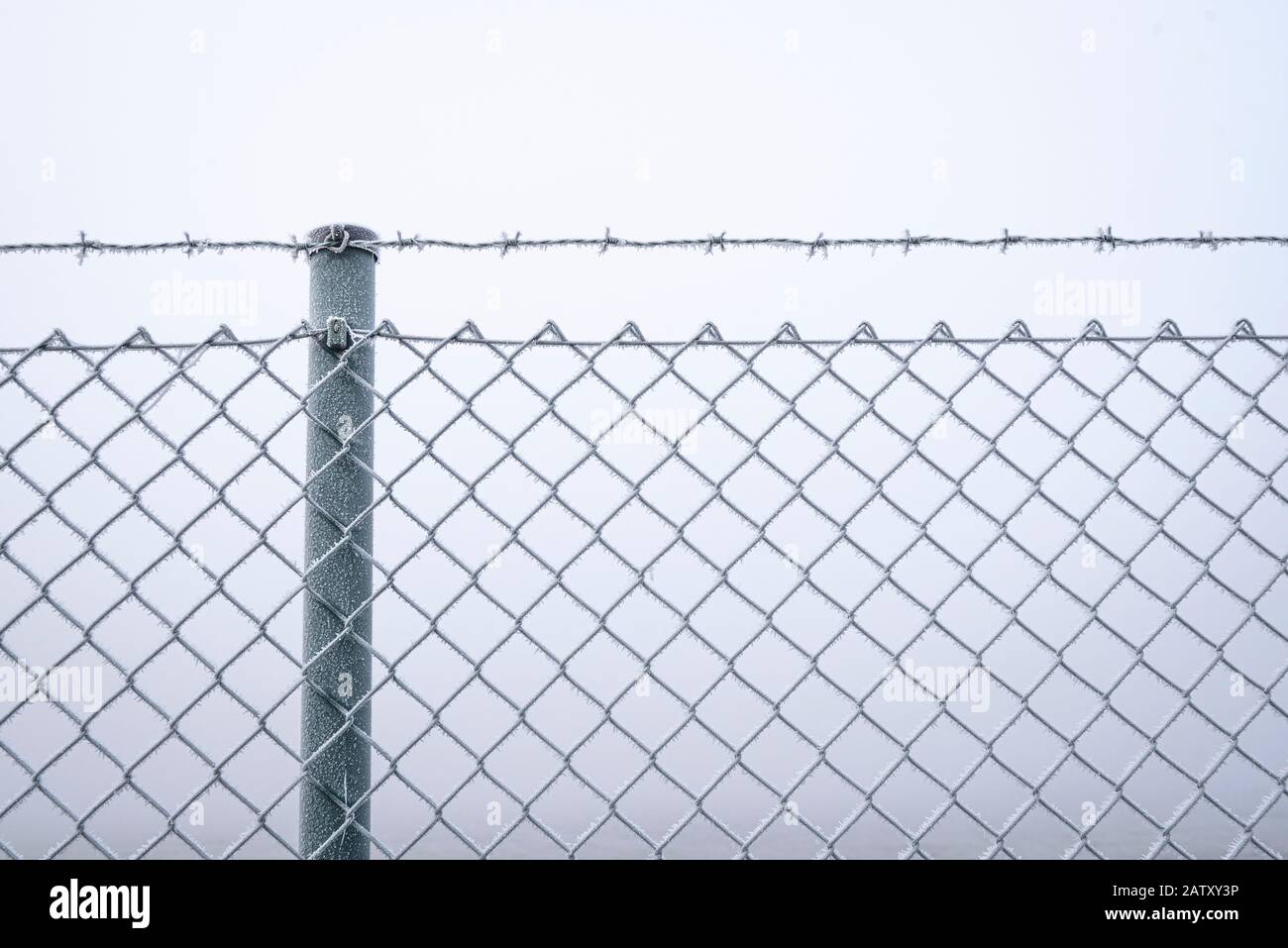 Wire fence covered with frost, close-up. Cold temperature scenery with ...