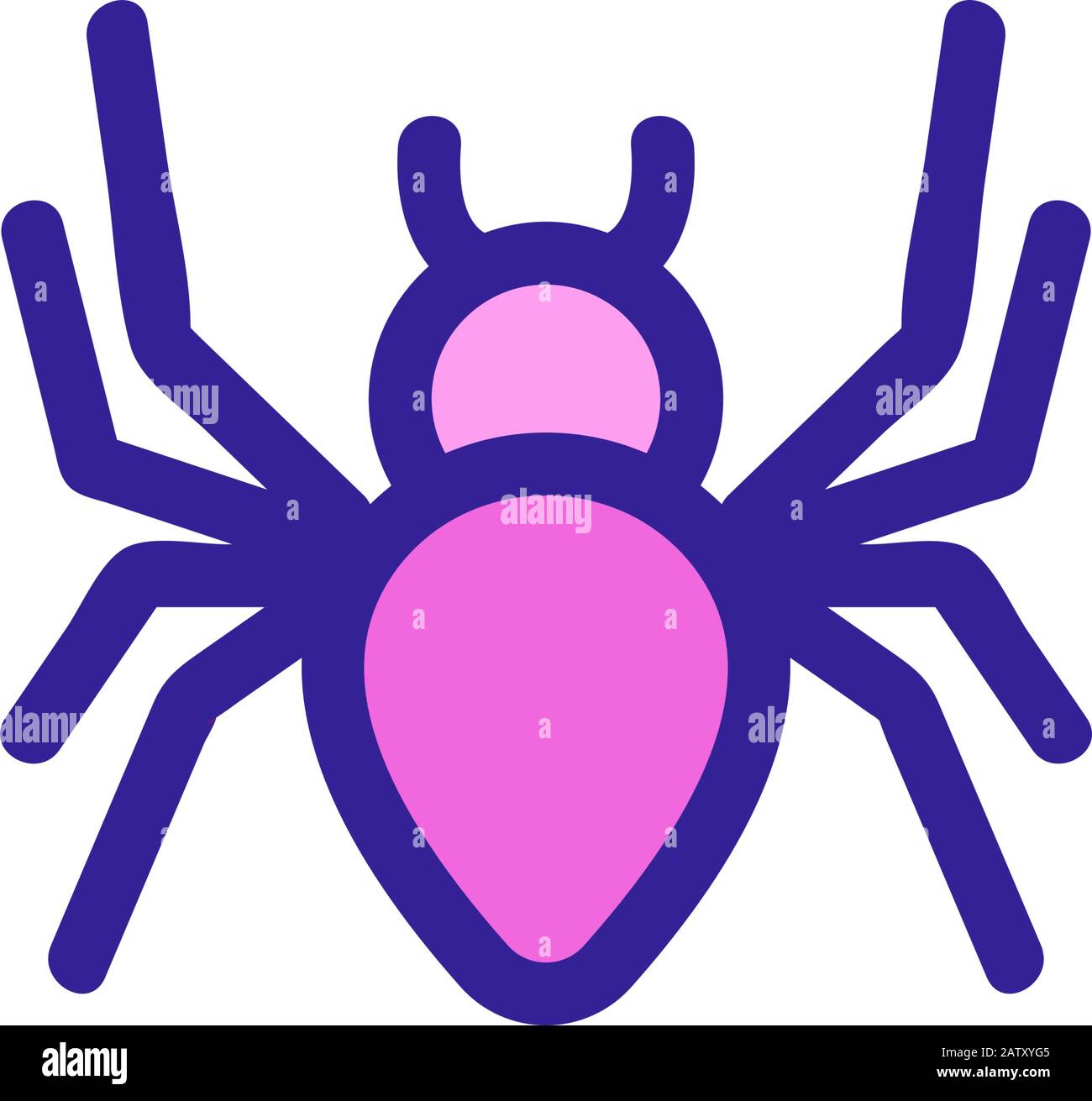 Spider icon vector. Isolated contour symbol illustration Stock Vector ...
