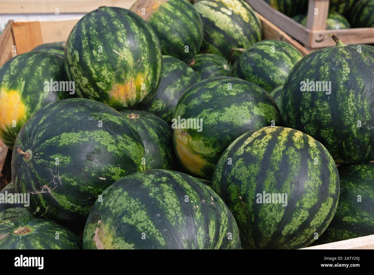 Watermelons watermelon crates crate hi-res stock photography and images ...