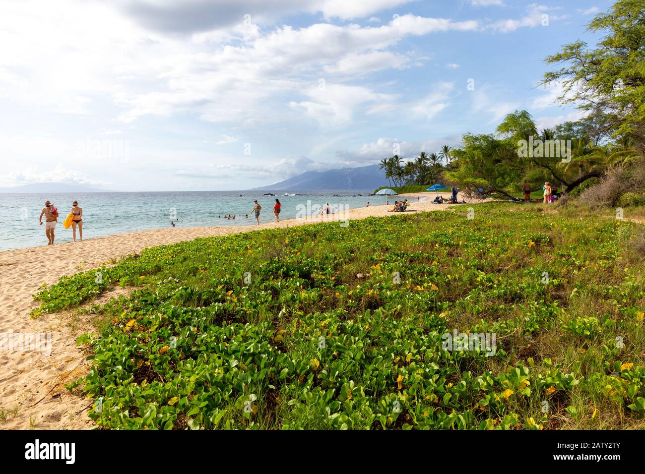 Beach scene from Maui, Hawaii USA Stock Photo - Alamy