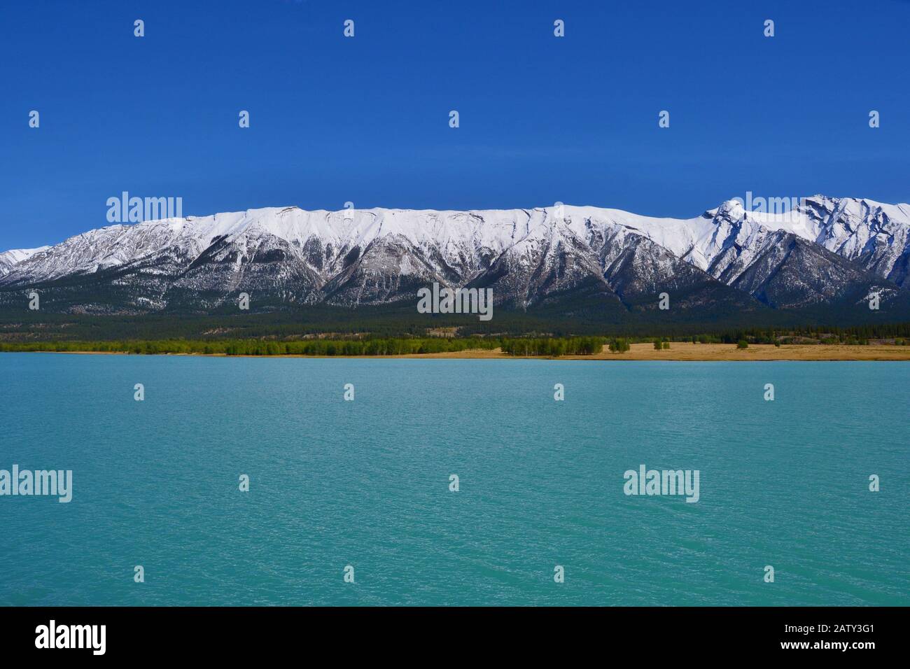 Beautiful blue Abraham Lake with high mountains covered with snow in ...