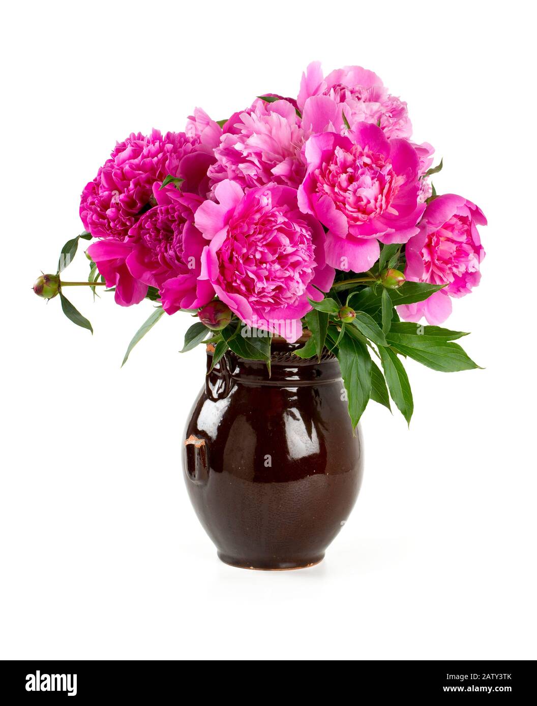 peonies in a clay vase over white Stock Photo - Alamy