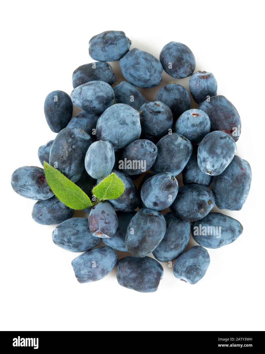 Blue berries on bush Cut Out Stock Images & Pictures - Alamy