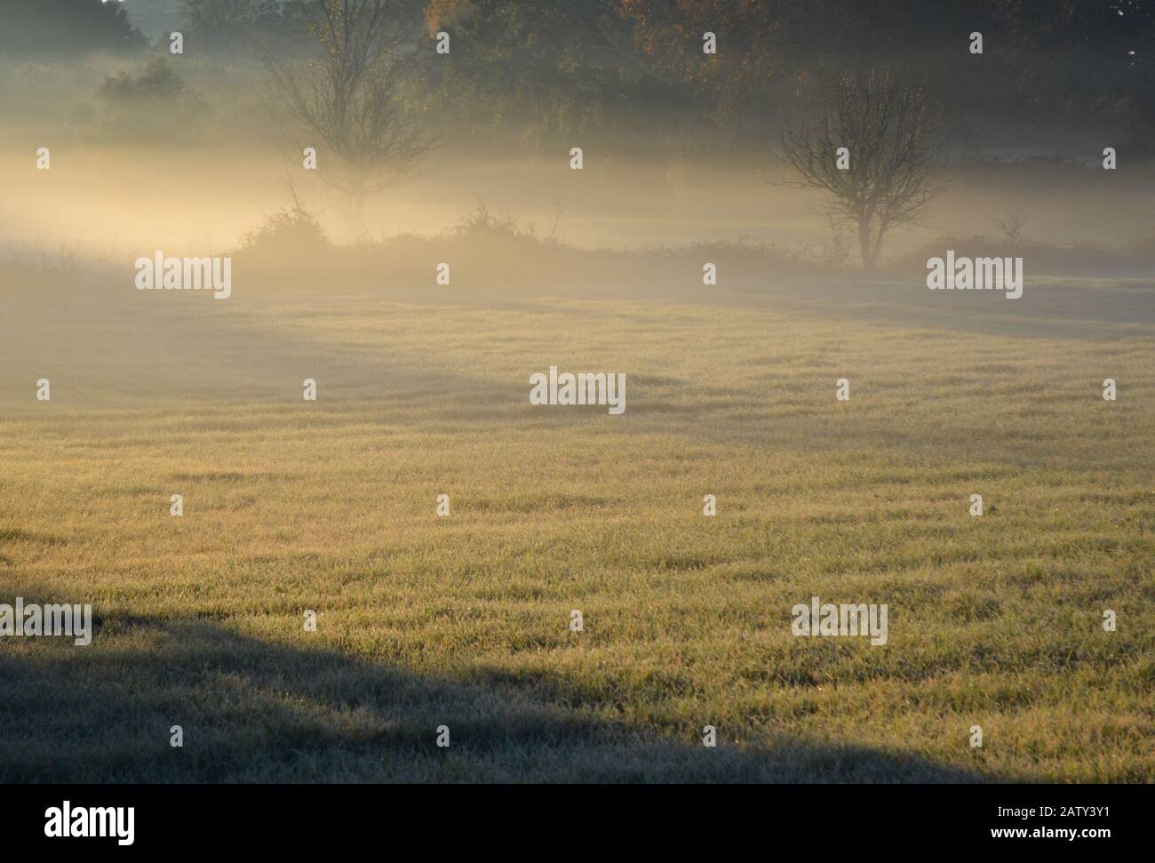 Cold sunny morning. Sun rays and the morning frost. Silhouettes of the ...