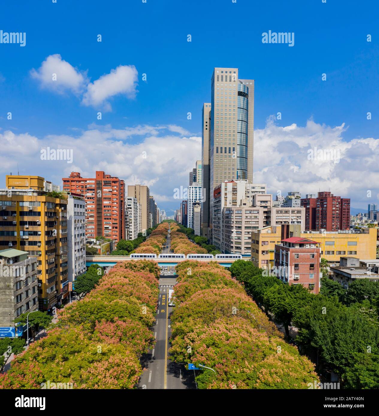 Afternoon aerial view of the Taiwanese rain tree blossom and cityscape ...