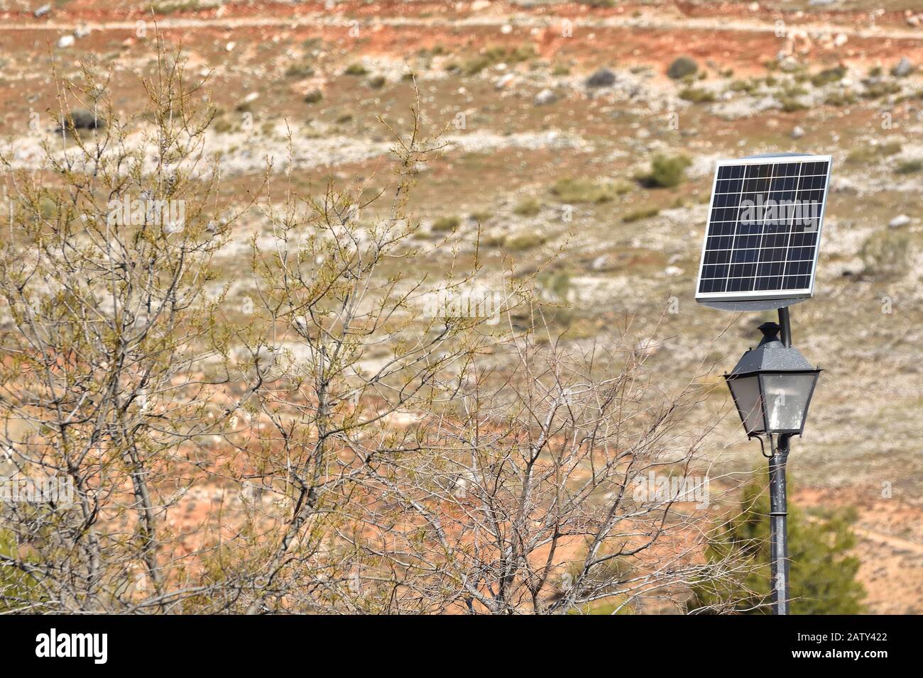 Clean energy: solar panels attached to the street lamps to provide ...