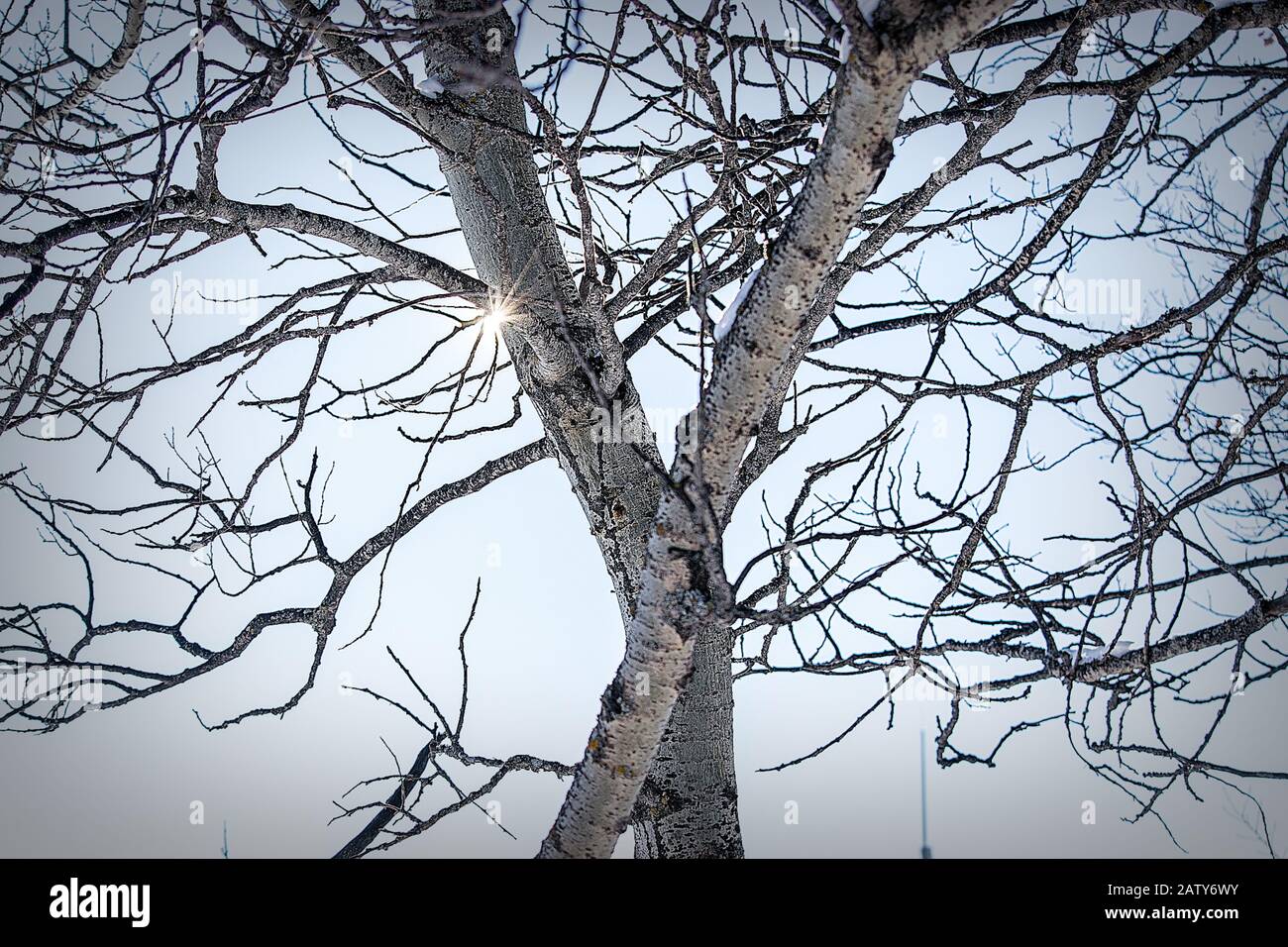 Hiking trail in the bush Stock Photo - Alamy