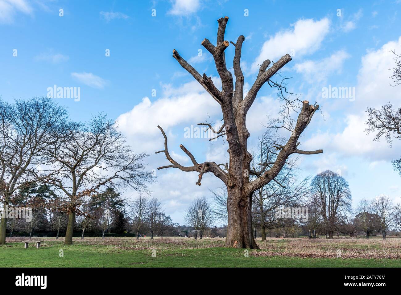 Fine dau hi-res stock photography and images - Alamy