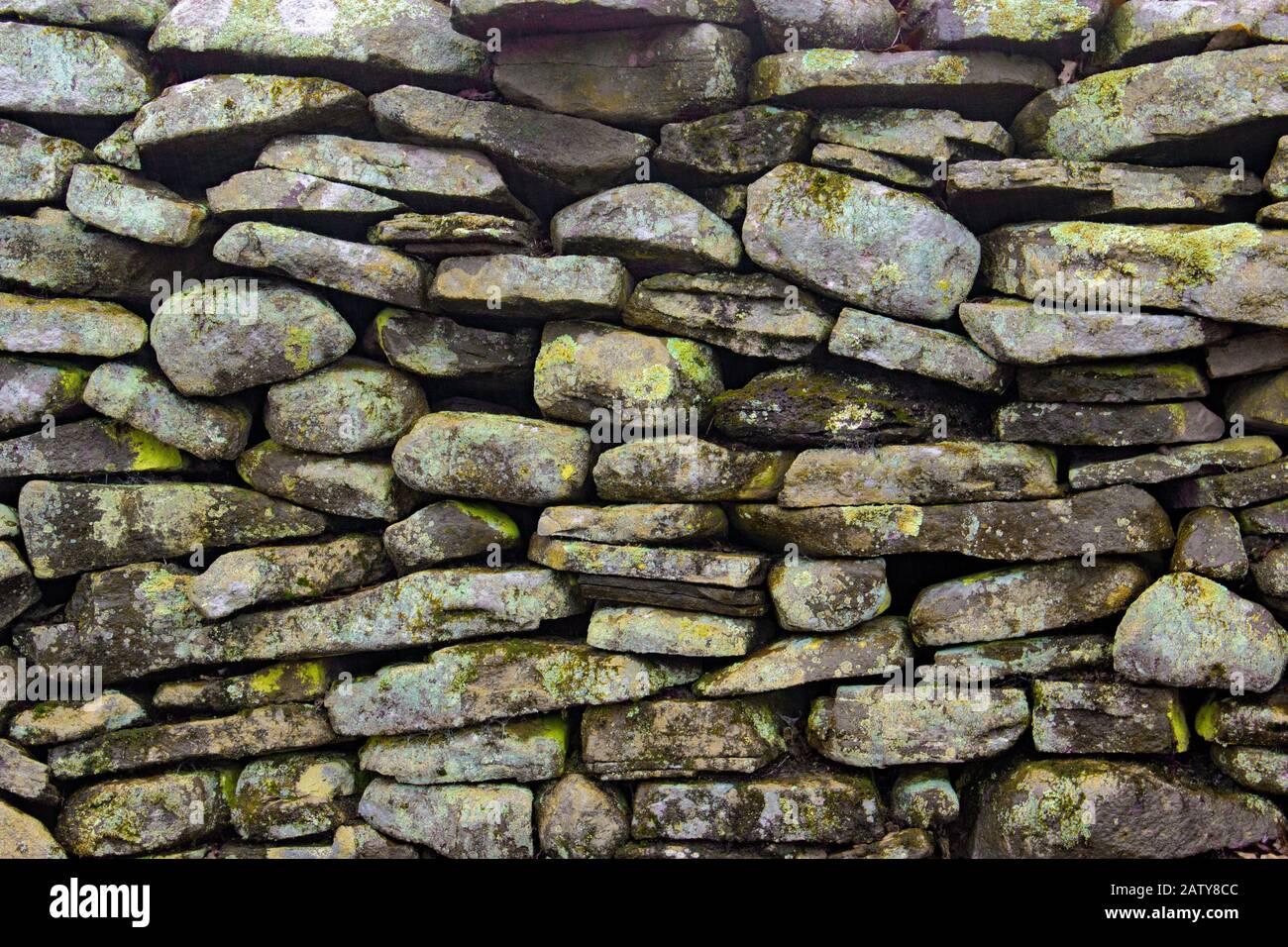 A stone fence with lichens and moss in Pennsylvania’s Pocono Mountains ...