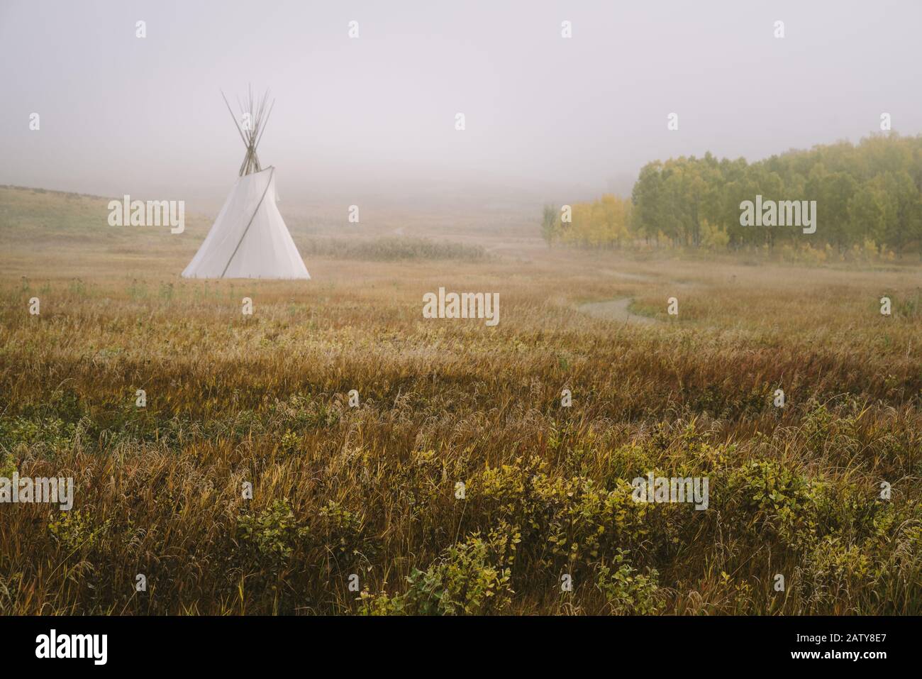 Alberta Ranch in the fog Stock Photo - Alamy