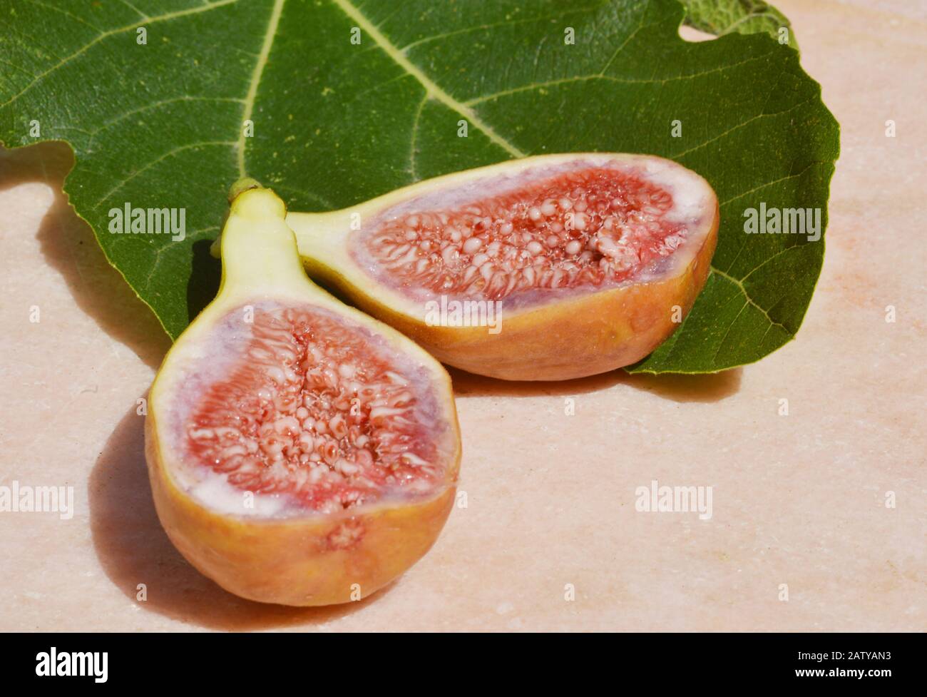 fresh fig fruit cut in half on a table Stock Photo - Alamy