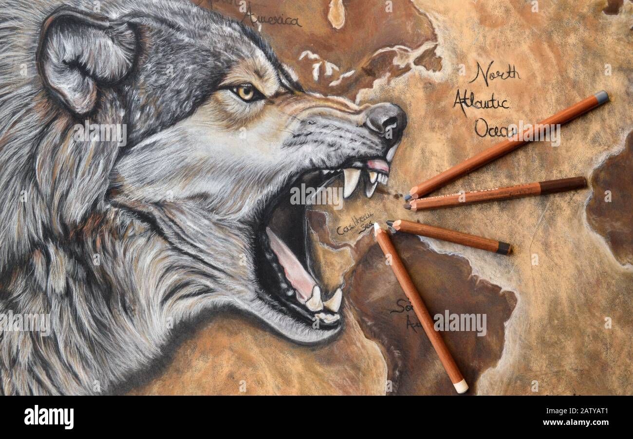Magnificent animal art painting with an aggressive wolf Stock Photo - Alamy
