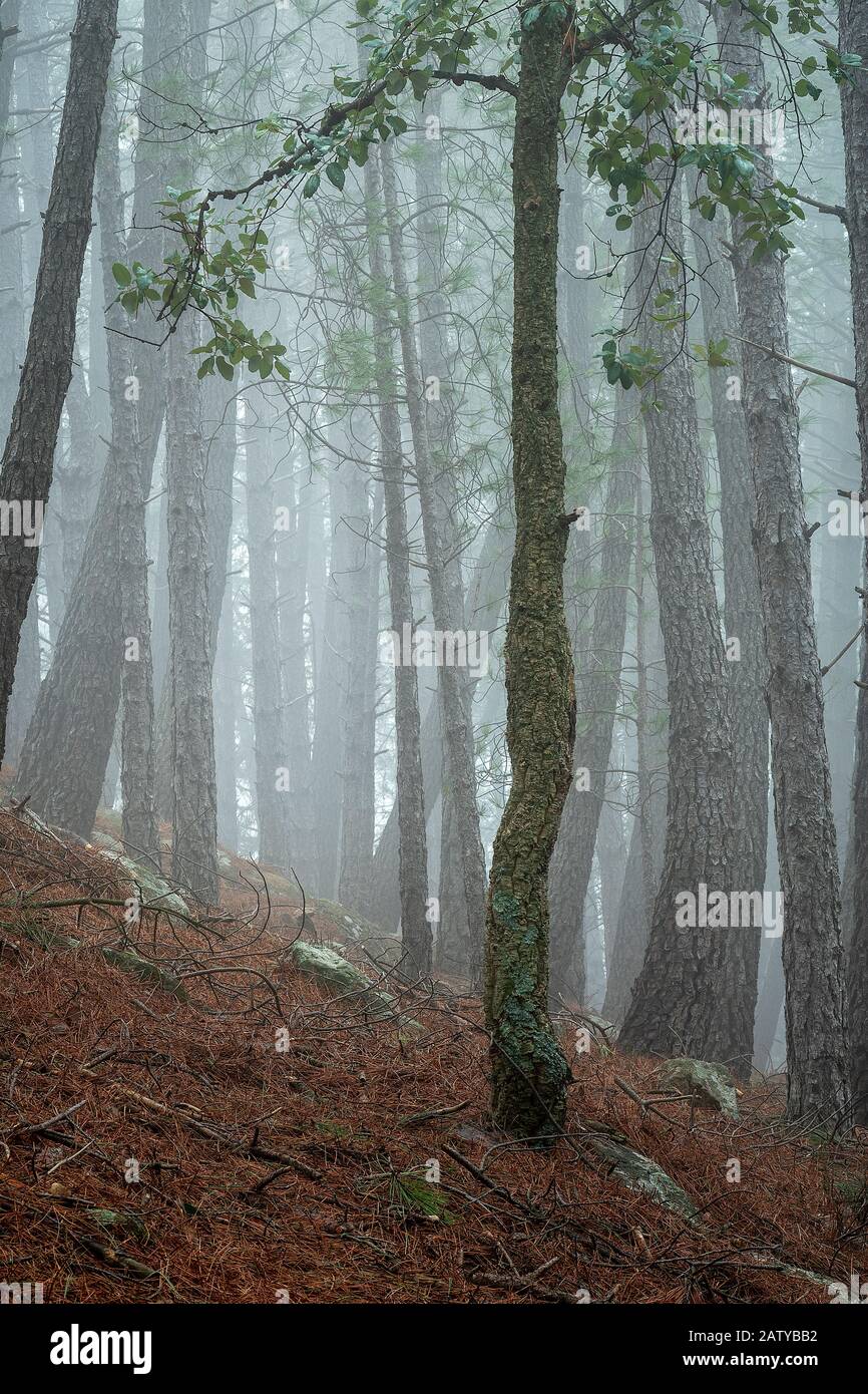 Diferente hi-res stock photography and images - Alamy