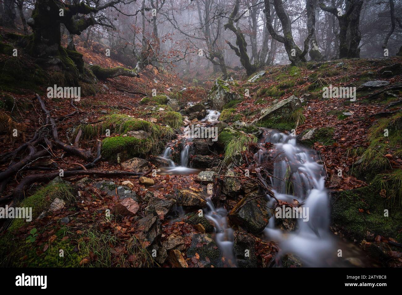 Encantado hi-res stock photography and images - Alamy