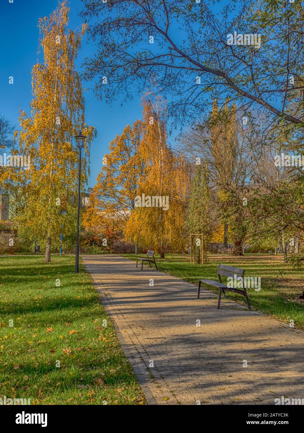 Warsaw, Poland - October 31, 2018: Beautiful sunny autumn landscape ...