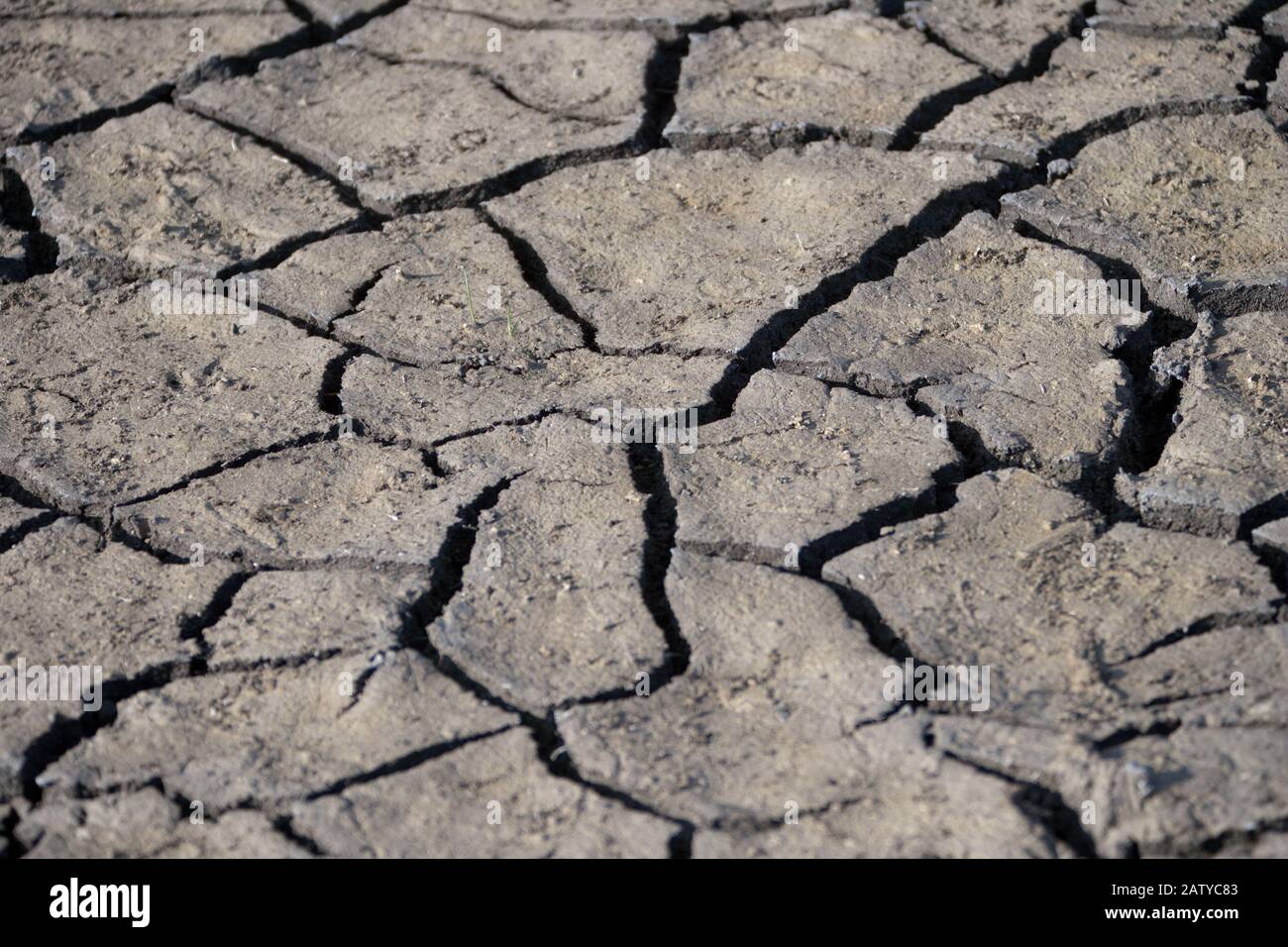 Dry land, dry earth and global warming with a bit of hope with two ...