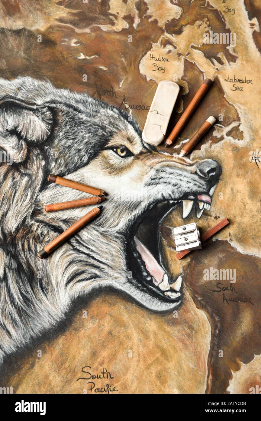 Magnificent animal art painting with an aggressive wolf Stock Photo - Alamy