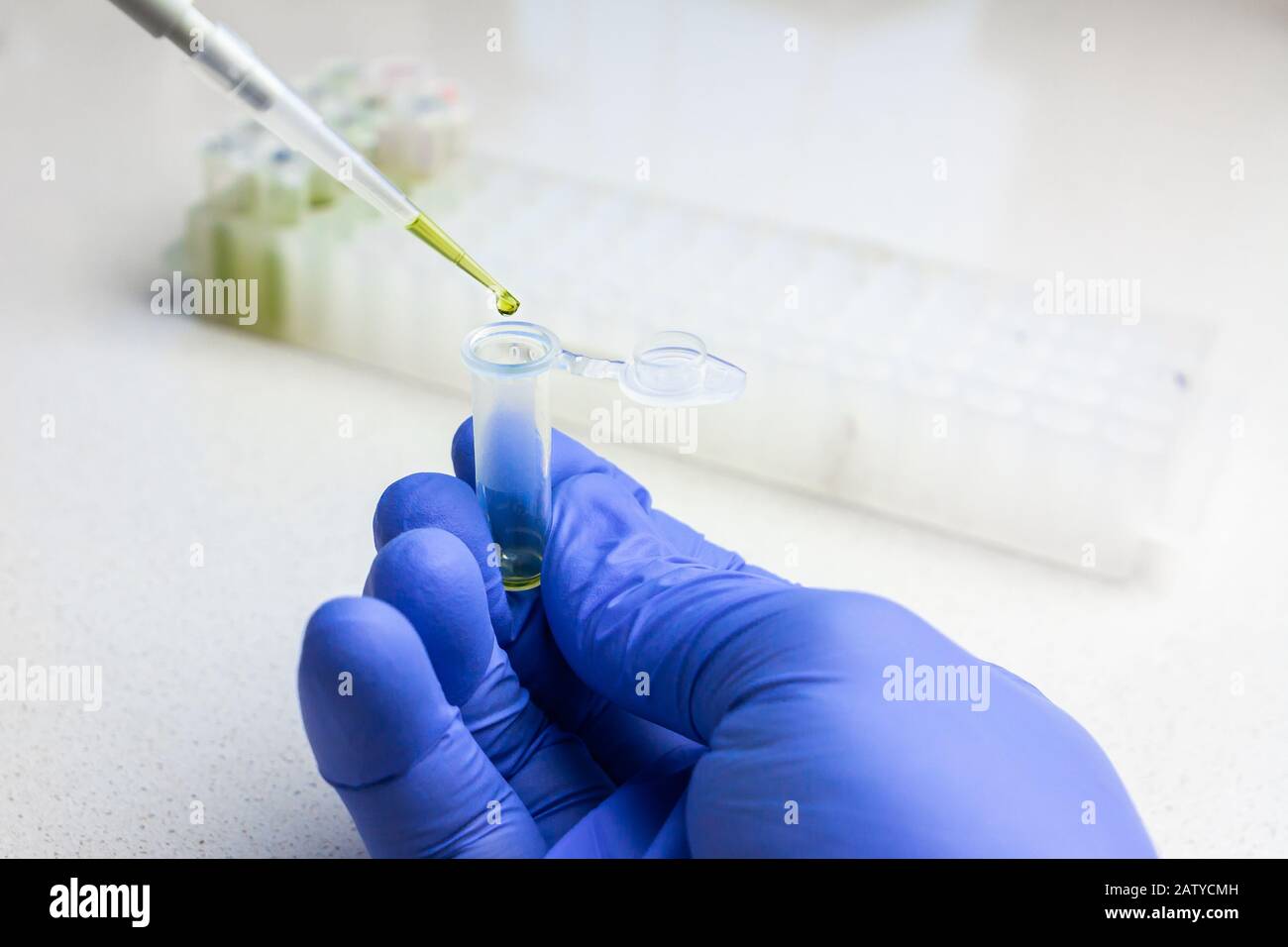 Clinical laboratory in process of chemical analysis. Collection of ...
