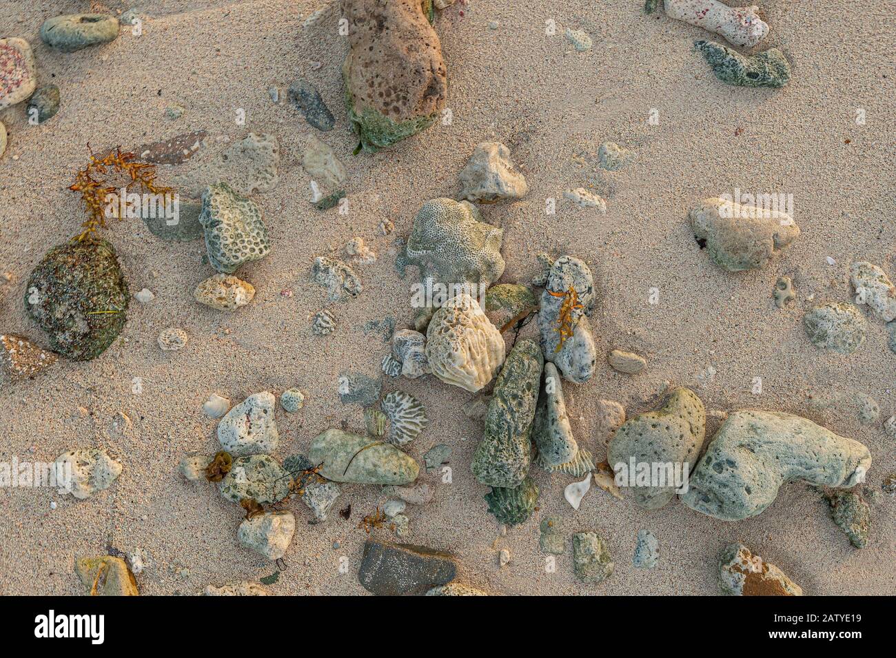 Sandy and rocky shoreline hi-res stock photography and images - Alamy
