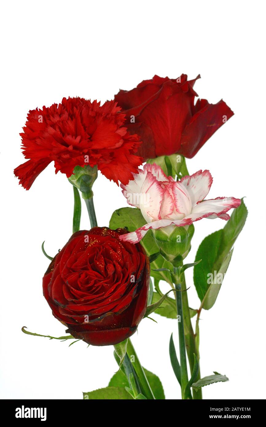 Beautiful bouquet of carnation and roses flower isolated on white ...