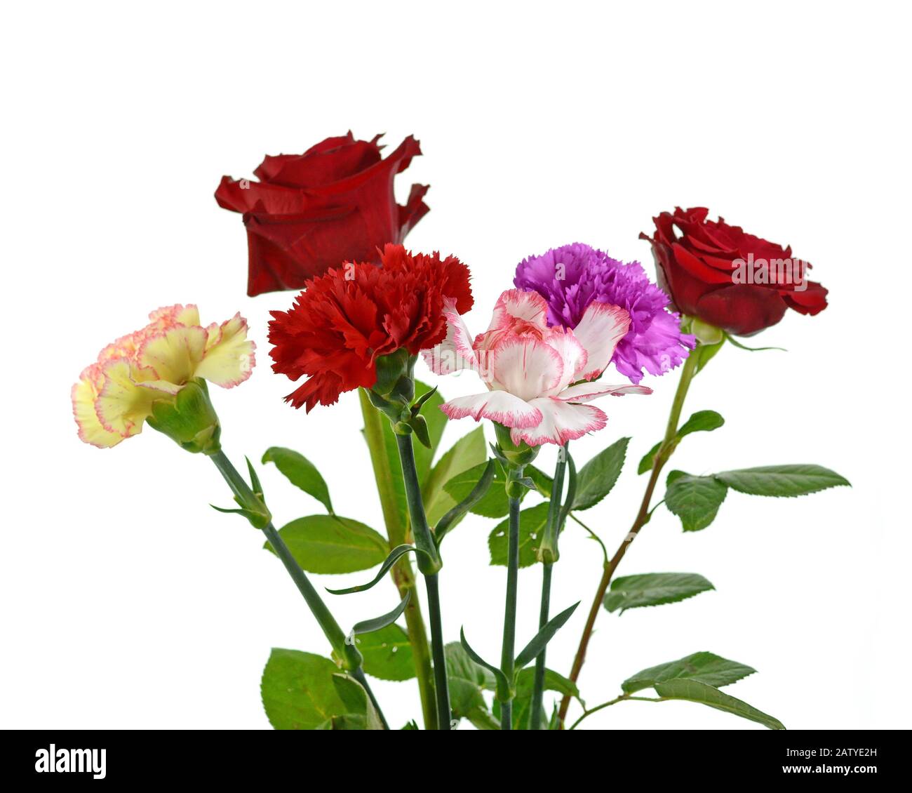 Beautiful bouquet of carnation and roses flower isolated on white ...
