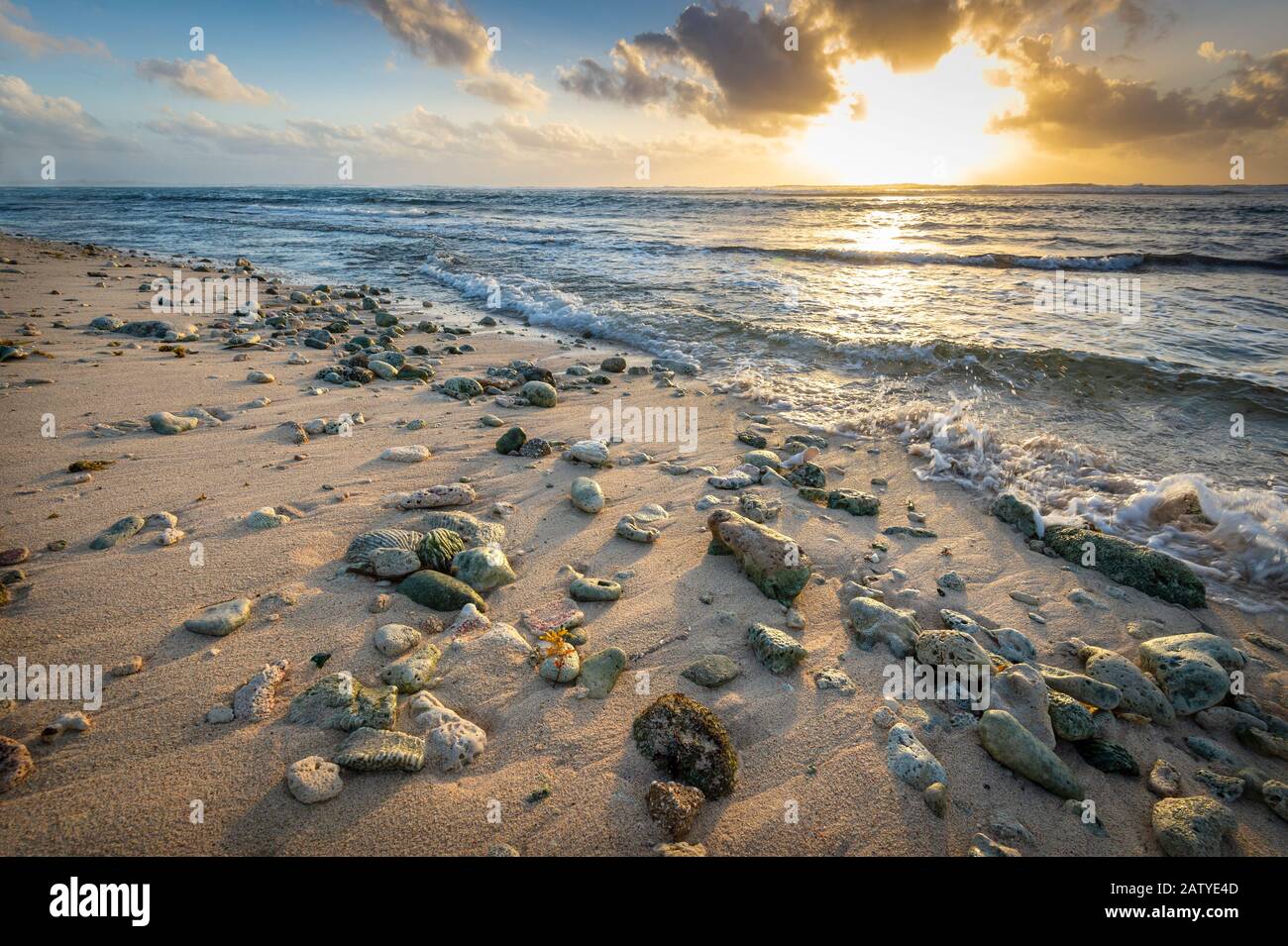 Beautiful peaceful rocky beach hi-res stock photography and images - Alamy