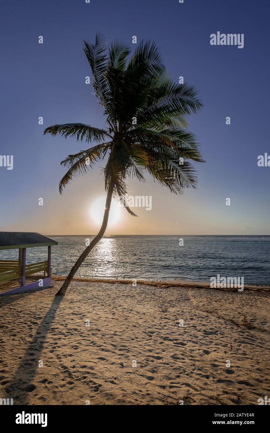 Cayman island hi-res stock photography and images - Alamy