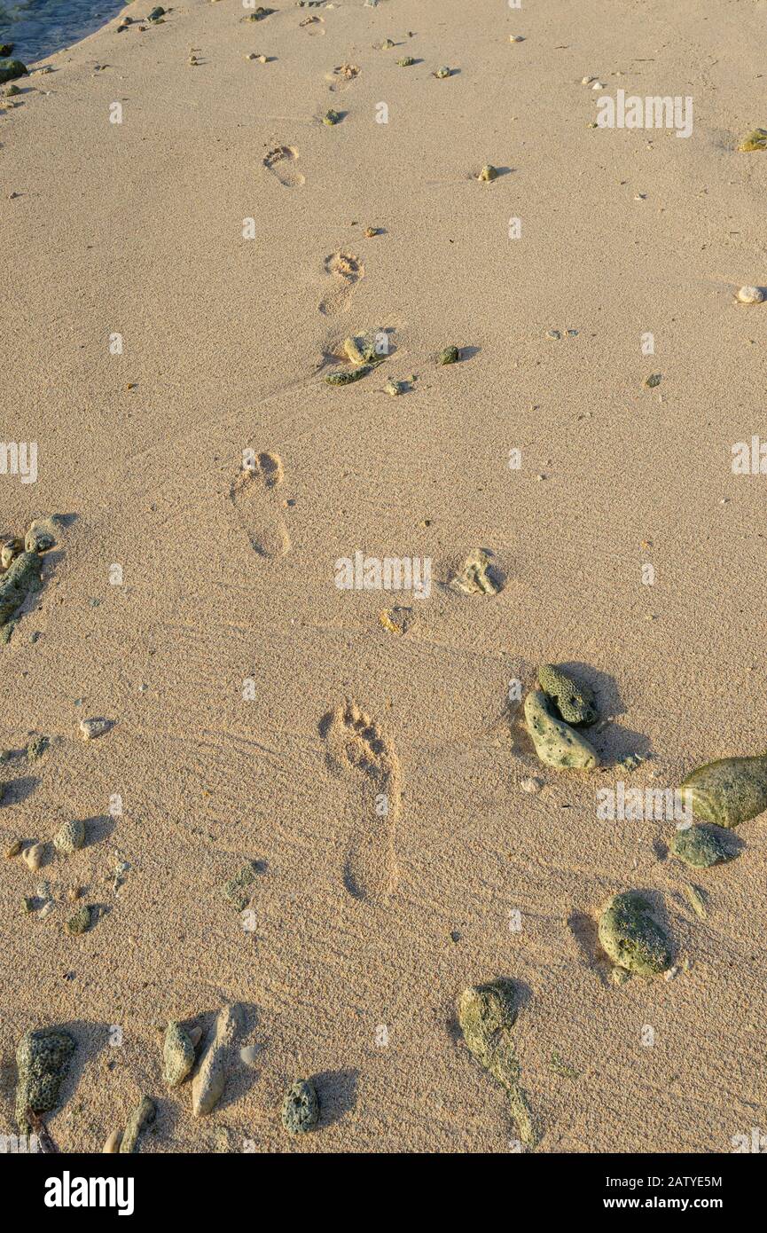Footprints in the sand beach, Grand Cayman Island Stock Photo - Alamy