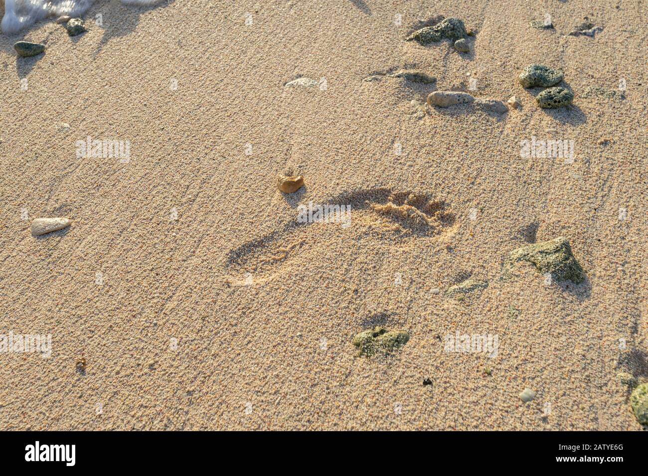Footprints in the sand beach, Grand Cayman Island Stock Photo - Alamy