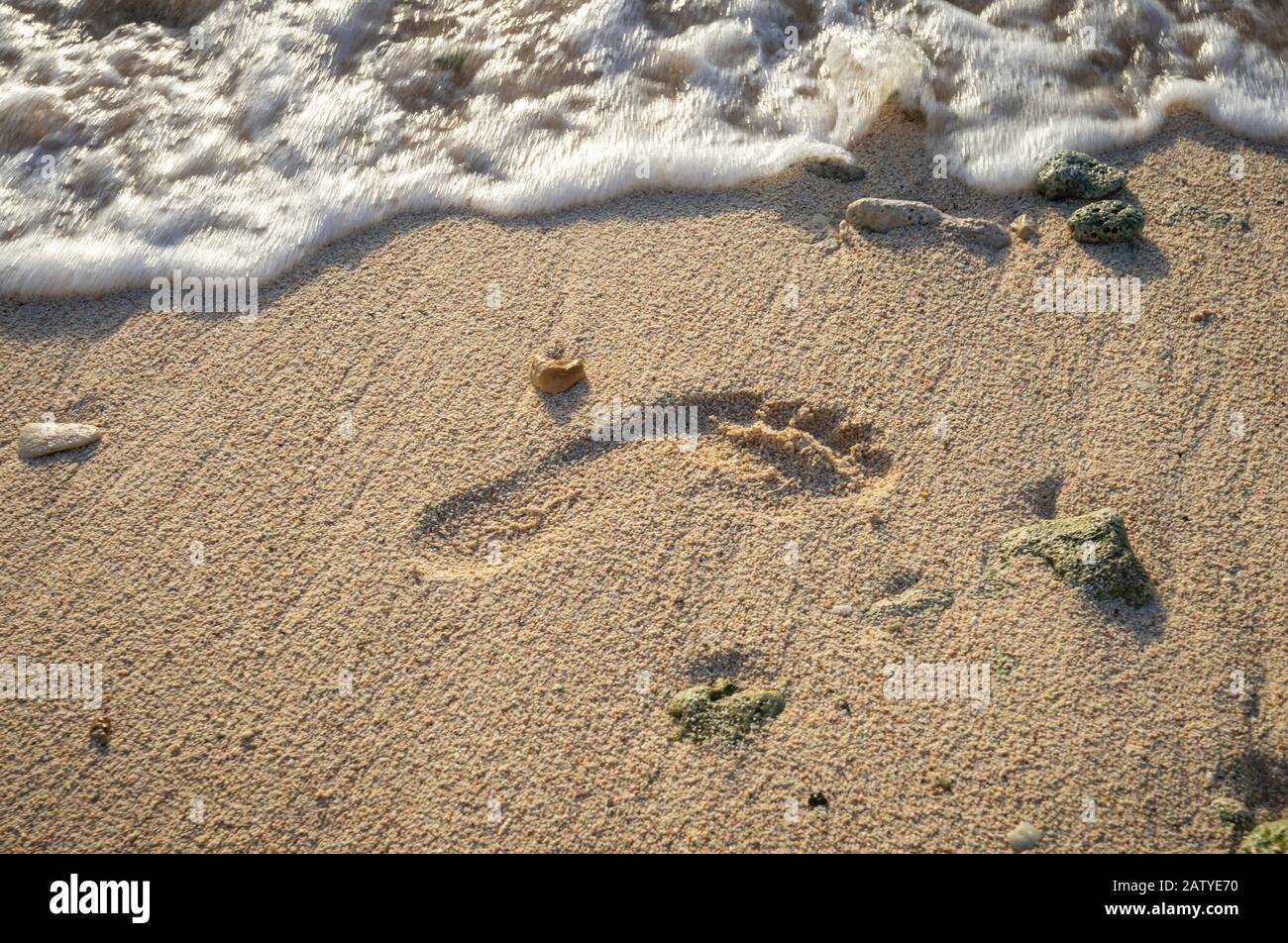 Footprints in the sand beach, Grand Cayman Island Stock Photo - Alamy