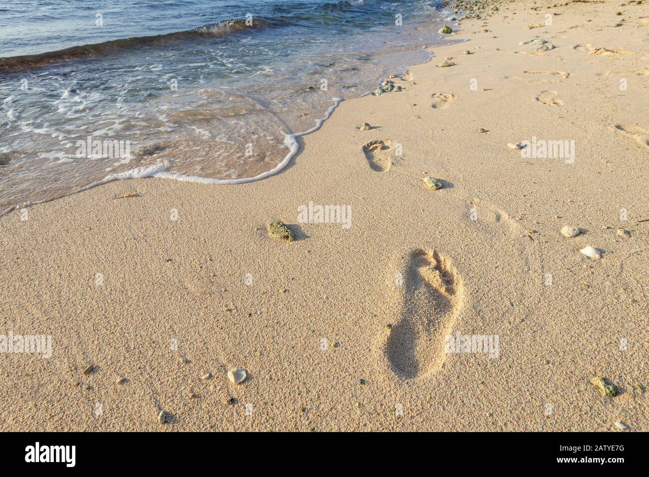Footprints in the sand beach, Grand Cayman Island Stock Photo - Alamy