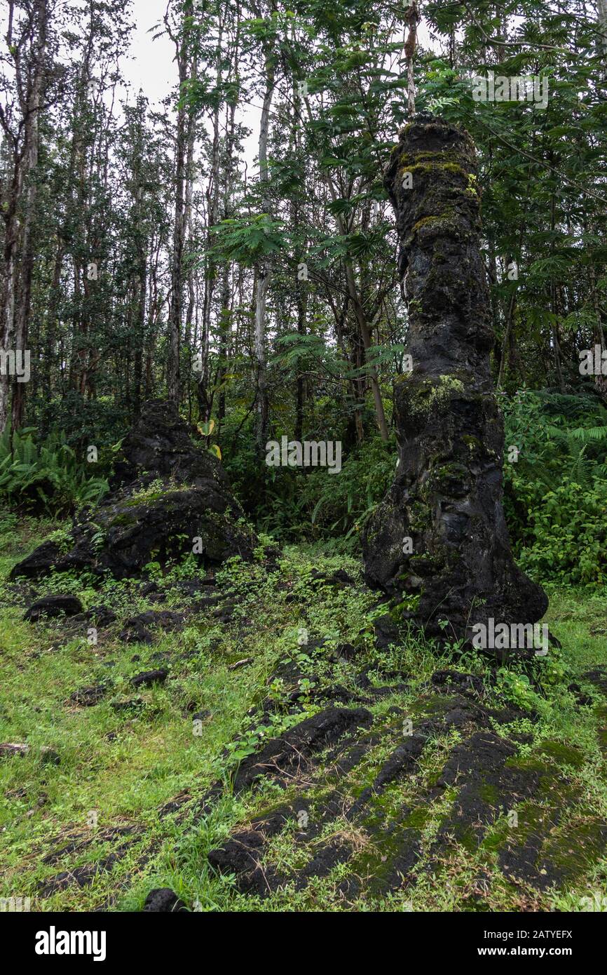 Leilani Estate, Hawaii, USA. - January 14, 2020: Centuries old black ...