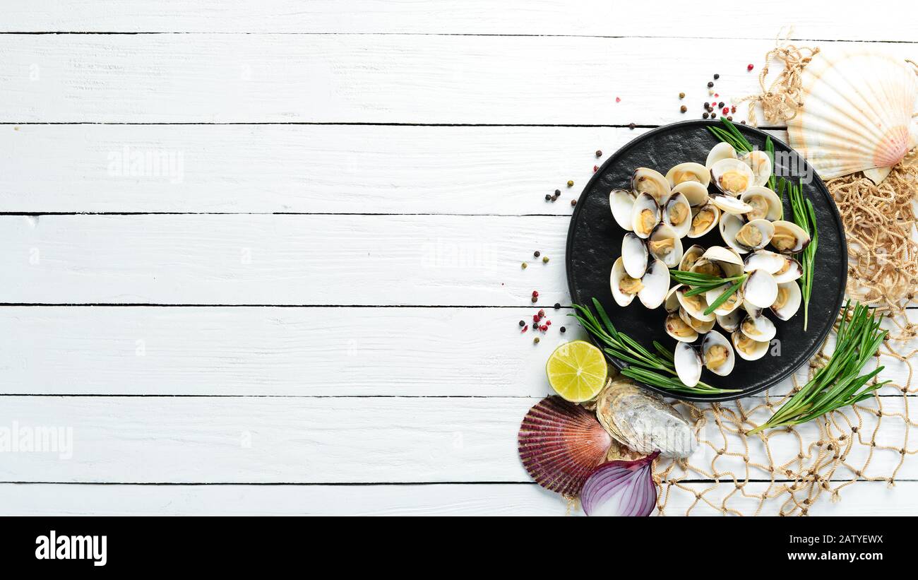 Boiled clams in a plate. Seafood on a white background Stock Photo - Alamy