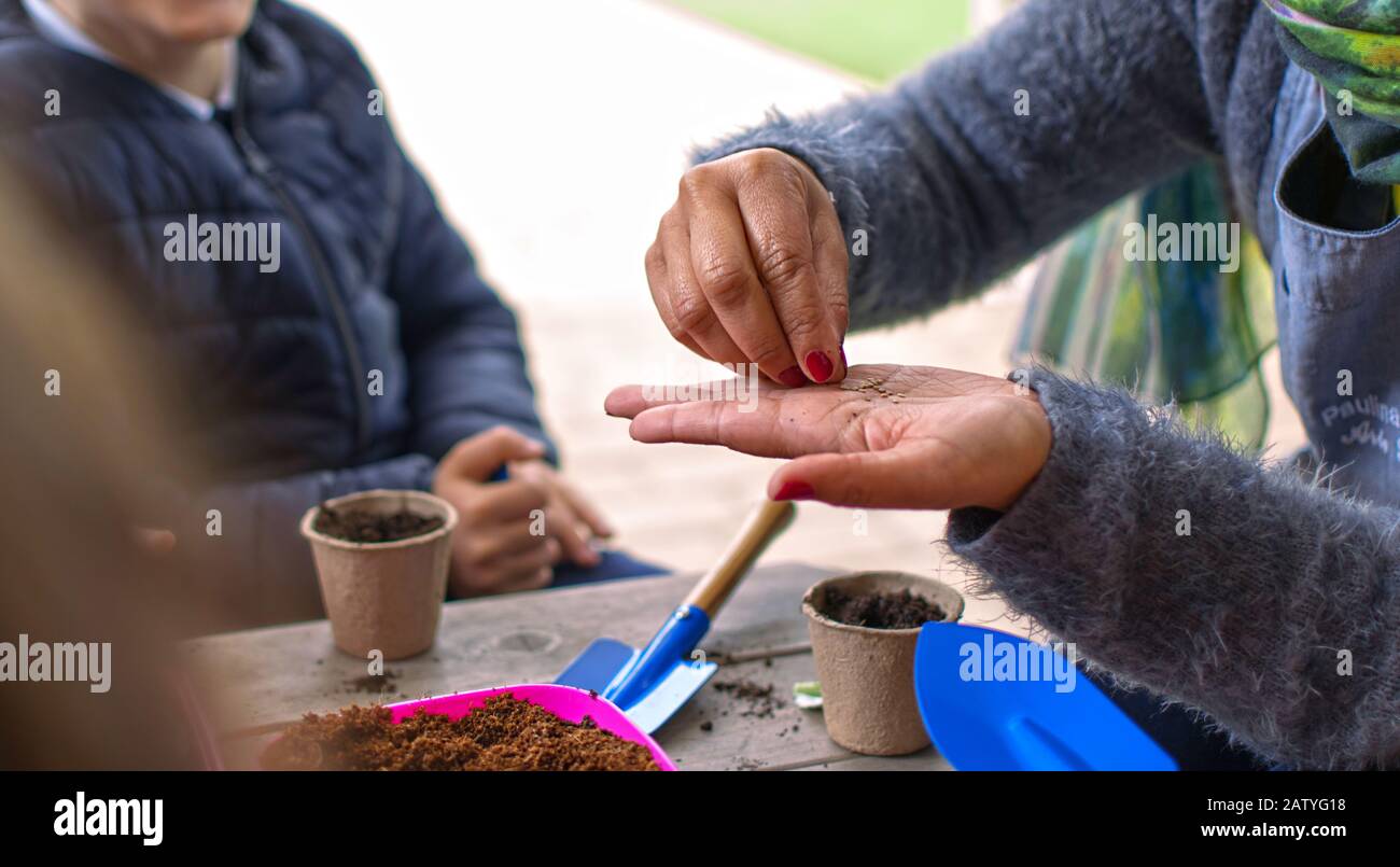 School children planting tree hi-res stock photography and images - Alamy