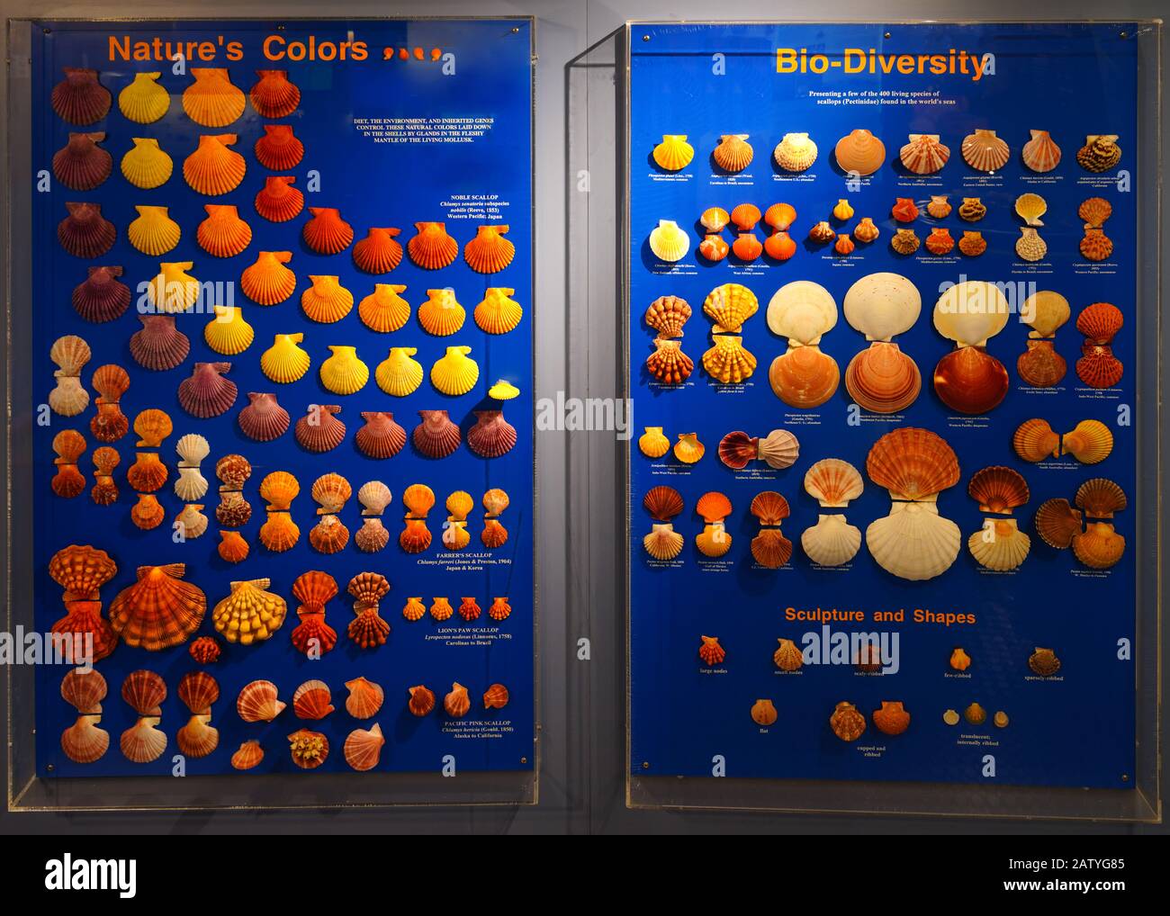 Bailey matthews museum hi-res stock photography and images - Alamy