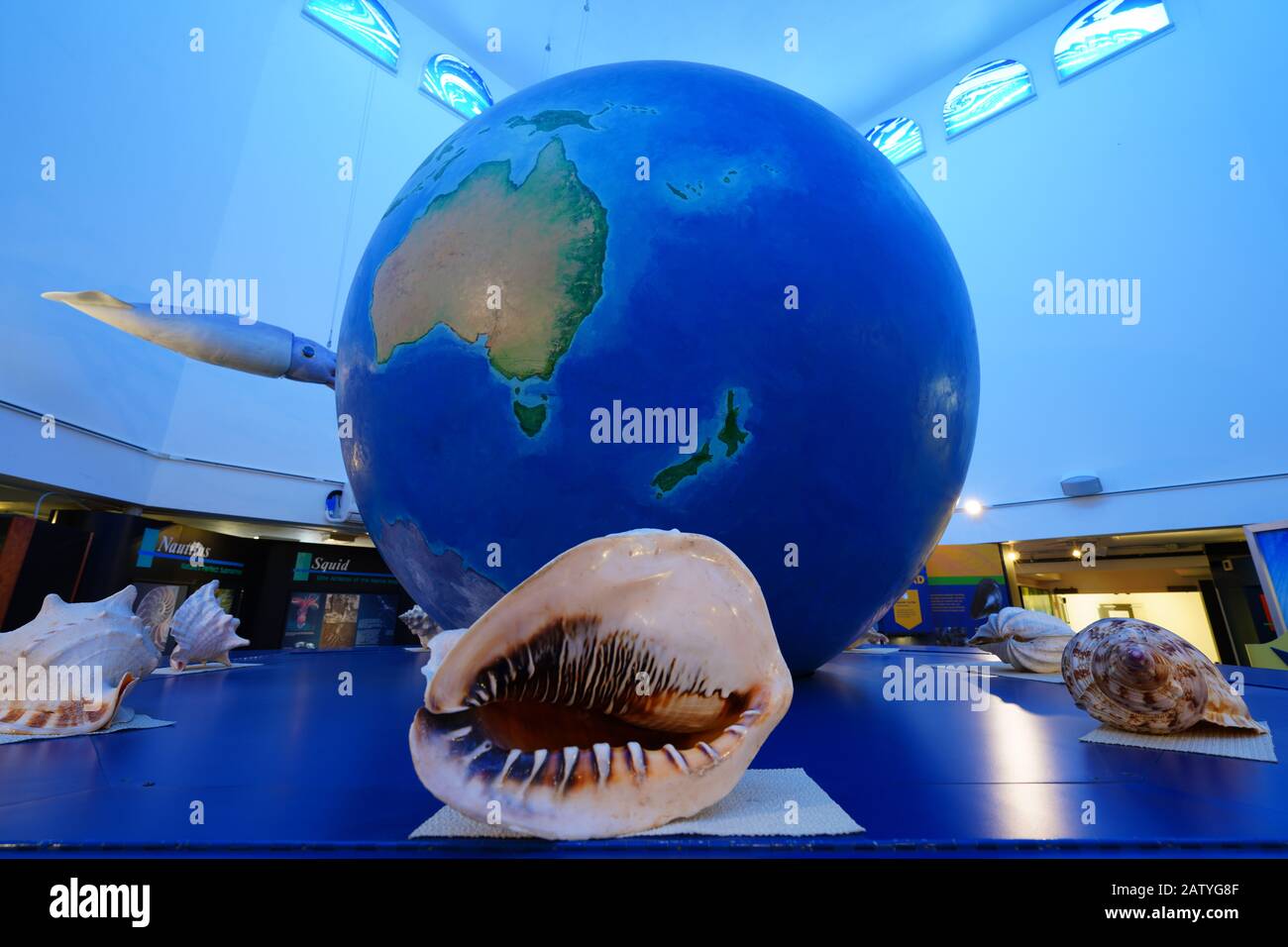 Bailey matthews museum hi-res stock photography and images - Alamy