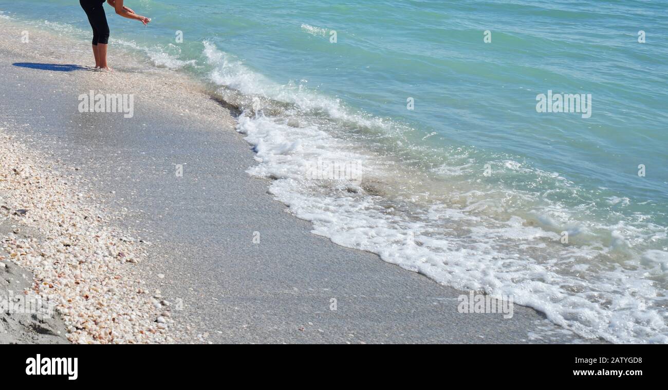 Stooping to collect shells on the beach by the sea in Sanibel Island ...