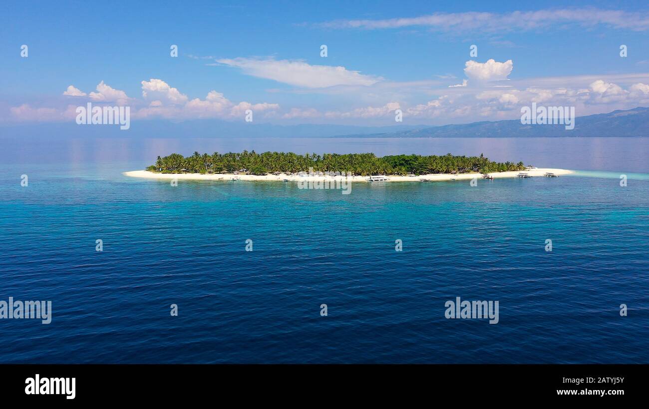 Summer beach landscape. Tropical island view, palm trees with amazing ...