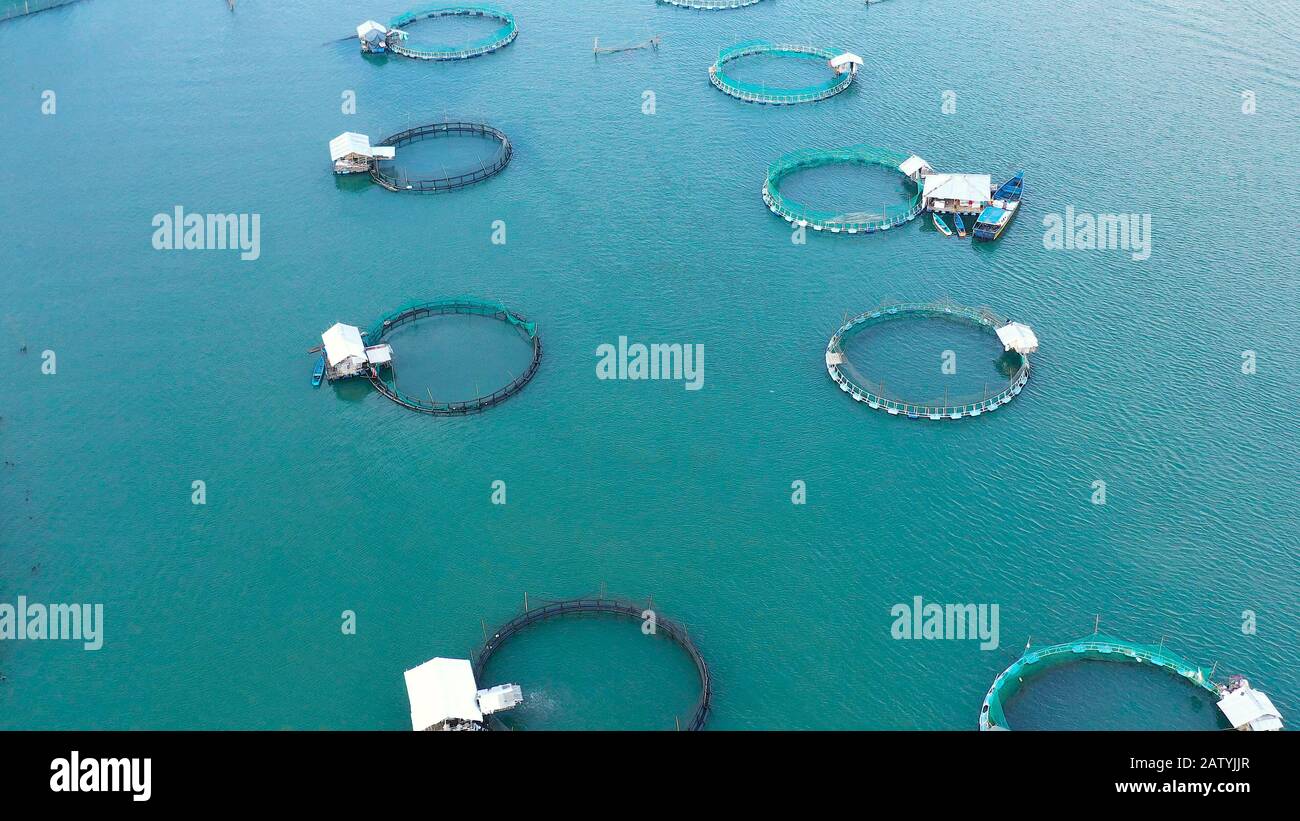 Fish cages and fish breeding nets at a fish farm. Aerial view of fish ...