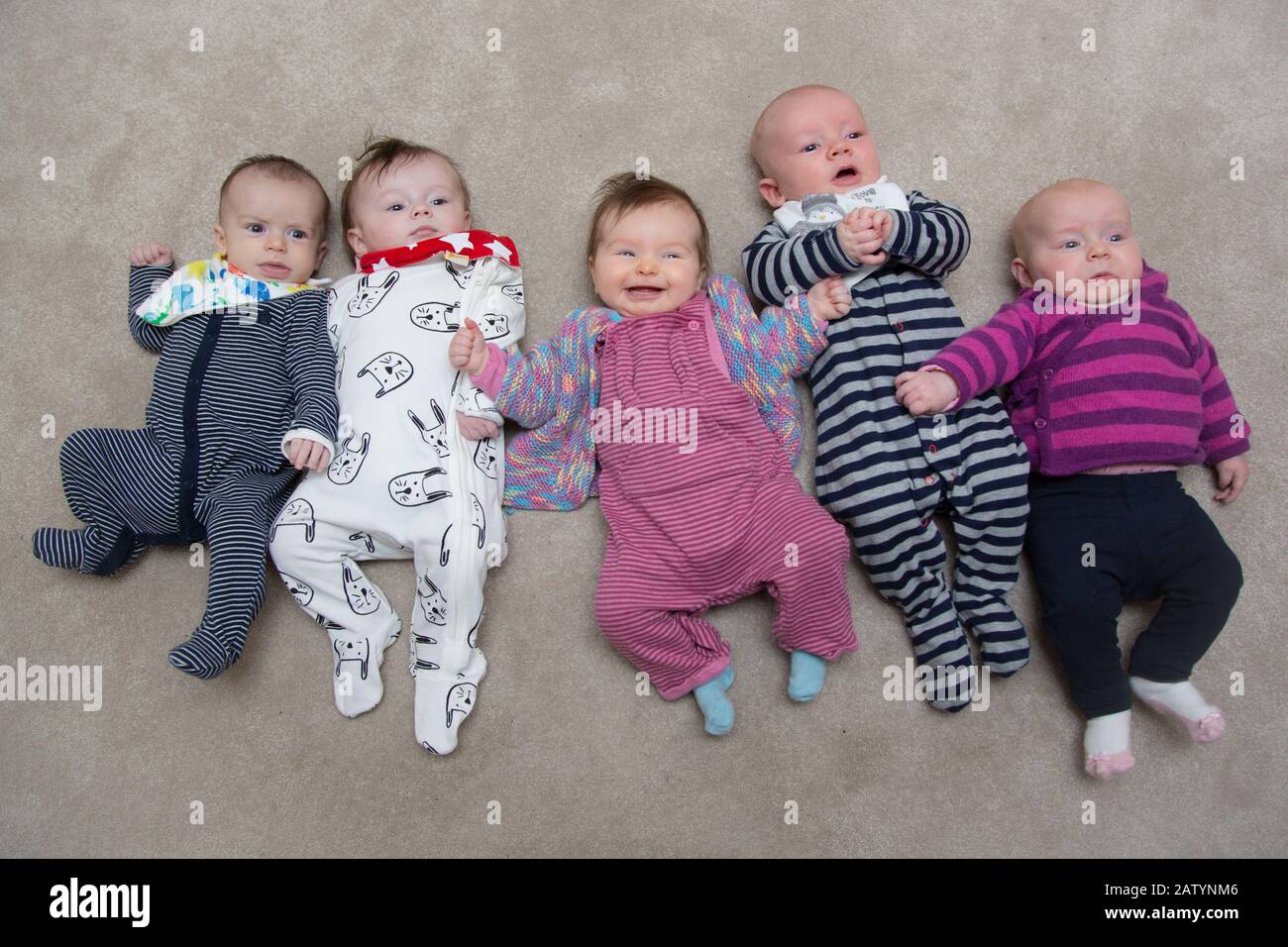 5 babies in. a row, UK Stock Photo - Alamy
