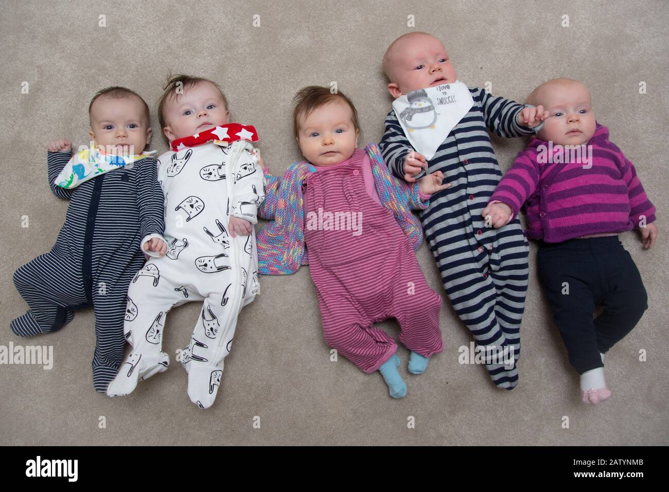 5 babies in. a row, UK Stock Photo - Alamy