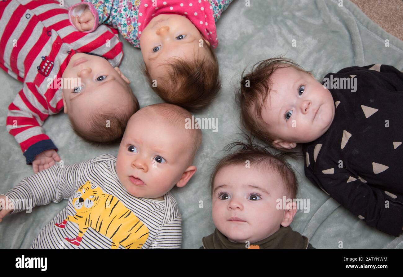 Group of babies hi-res stock photography and images - Alamy