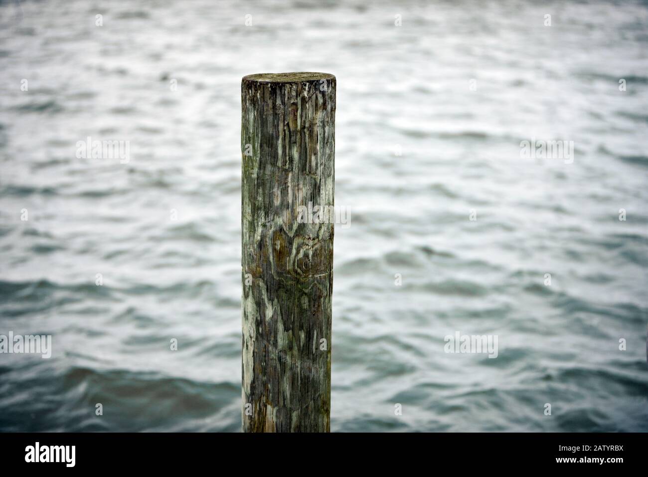 Wooden mooring post surrounded by ocean Stock Photo - Alamy