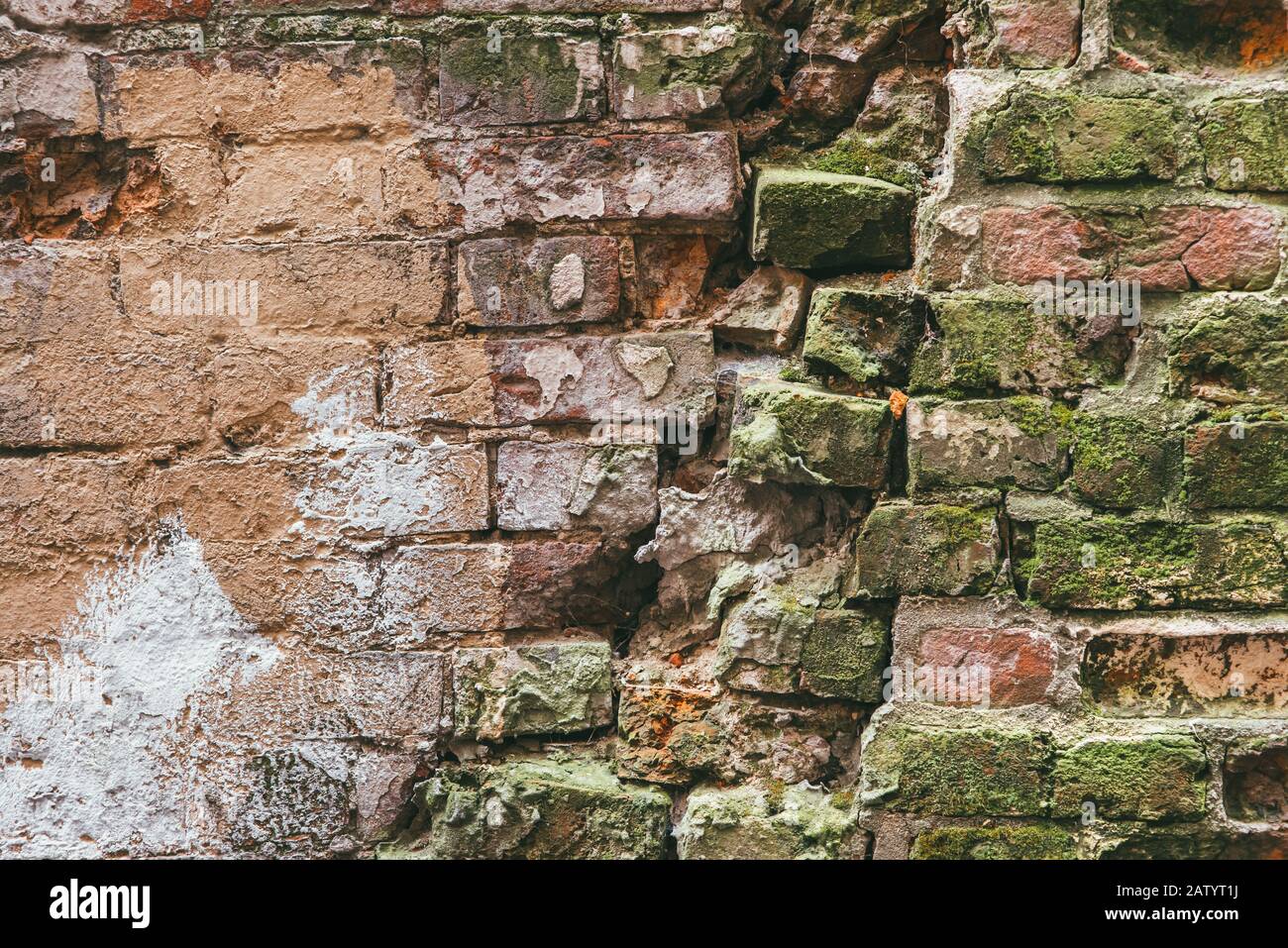 Old overgrown brick background hi-res stock photography and images - Alamy