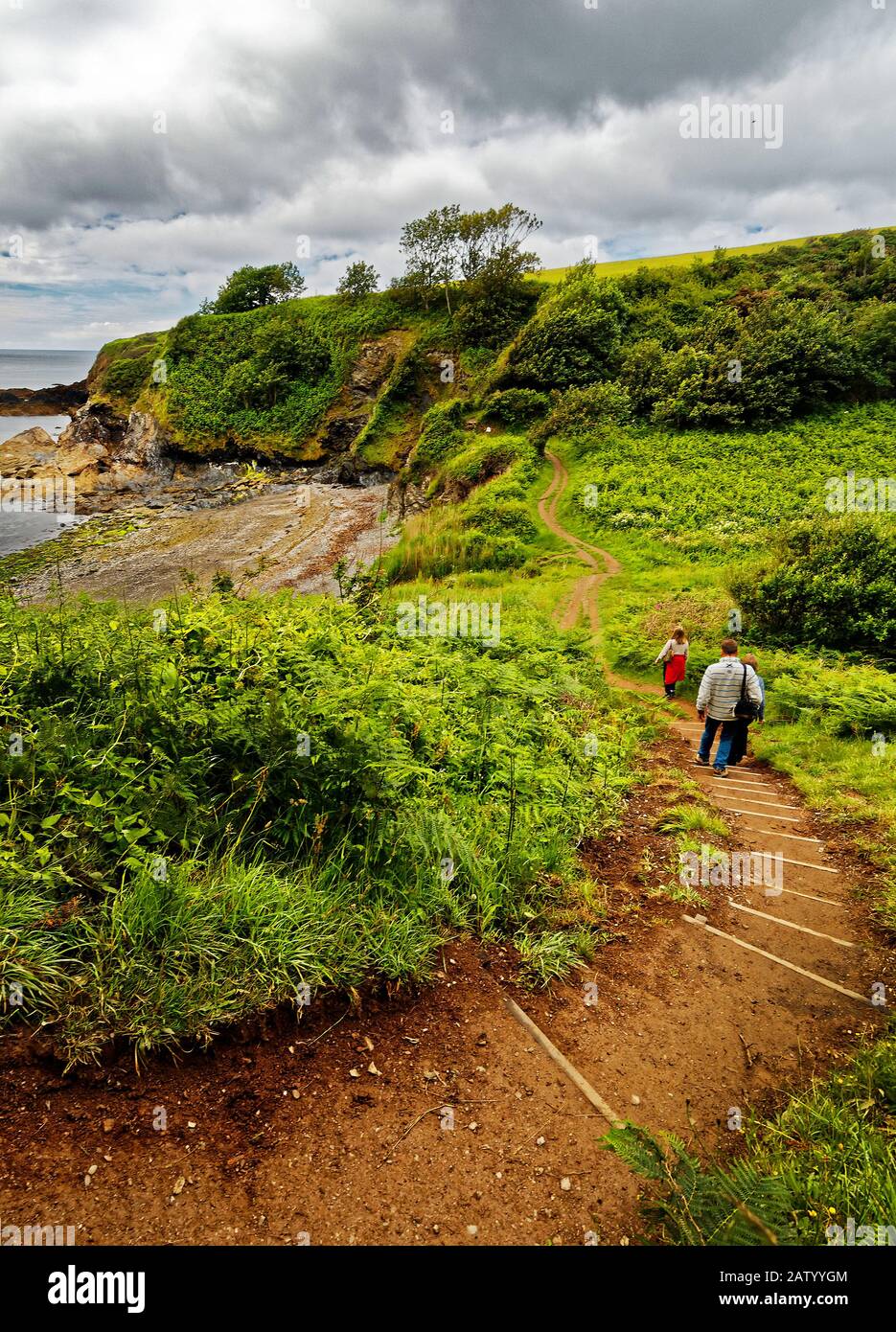 Fowey Water Taxi High Resolution Stock Photography and Images - Alamy