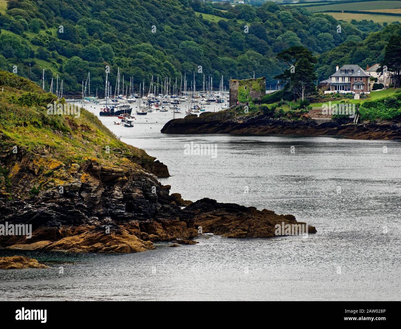 Gribben head hi-res stock photography and images - Alamy