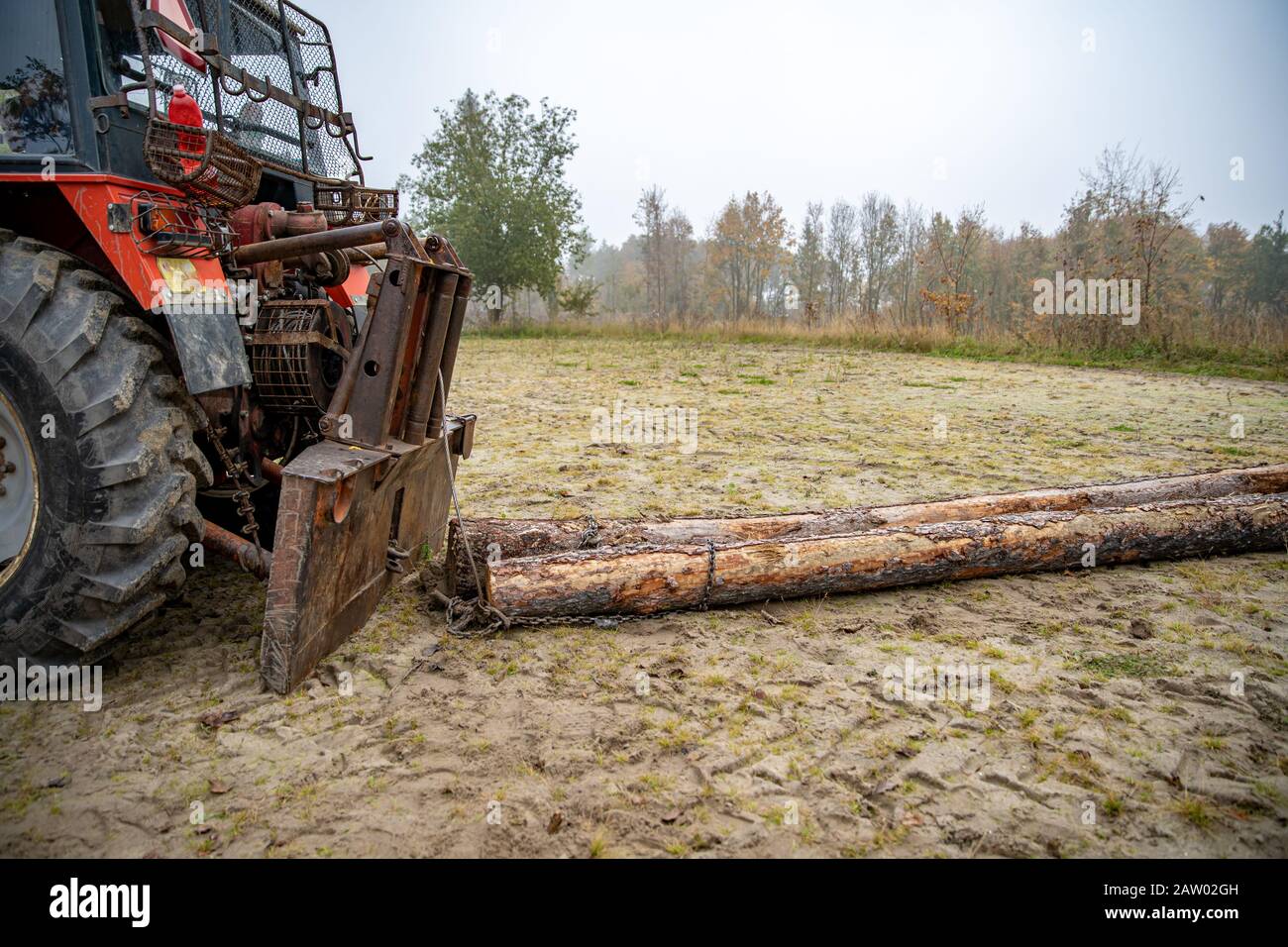 clearing the wood from the forest with a tractor Stock Photo - Alamy