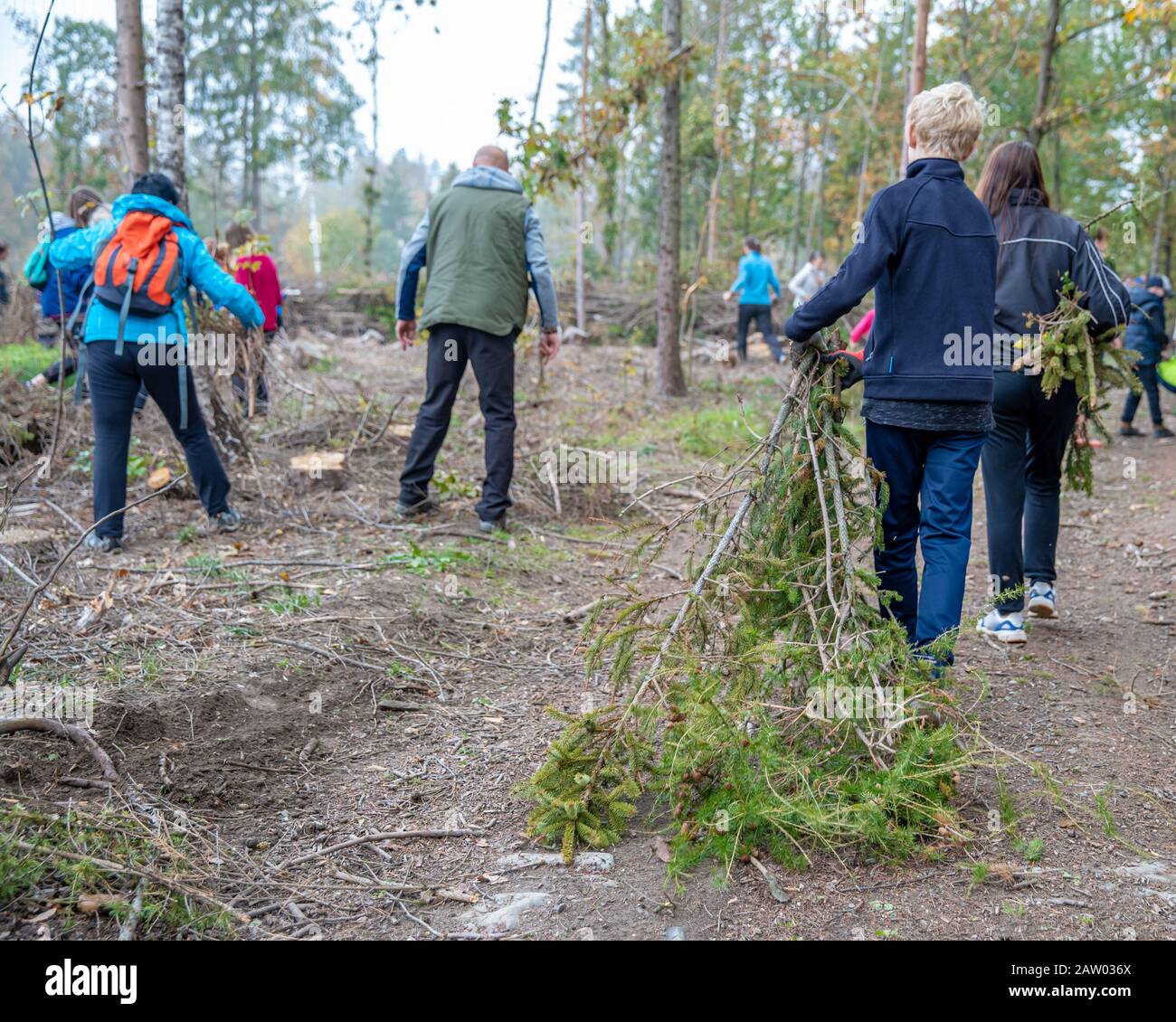 clean old tree branch in forest with volunteer help Stock Photo - Alamy